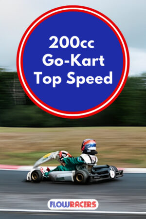 What Is The Top Speed Of A 200cc Go-Kart? (4 Karts Reviewed) - FLOW RACERS